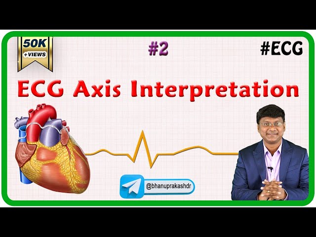 Understanding Cardiac Axis: A Comprehensive Guide to ECG Interpretation | Galaxy.ai | Galaxy.ai