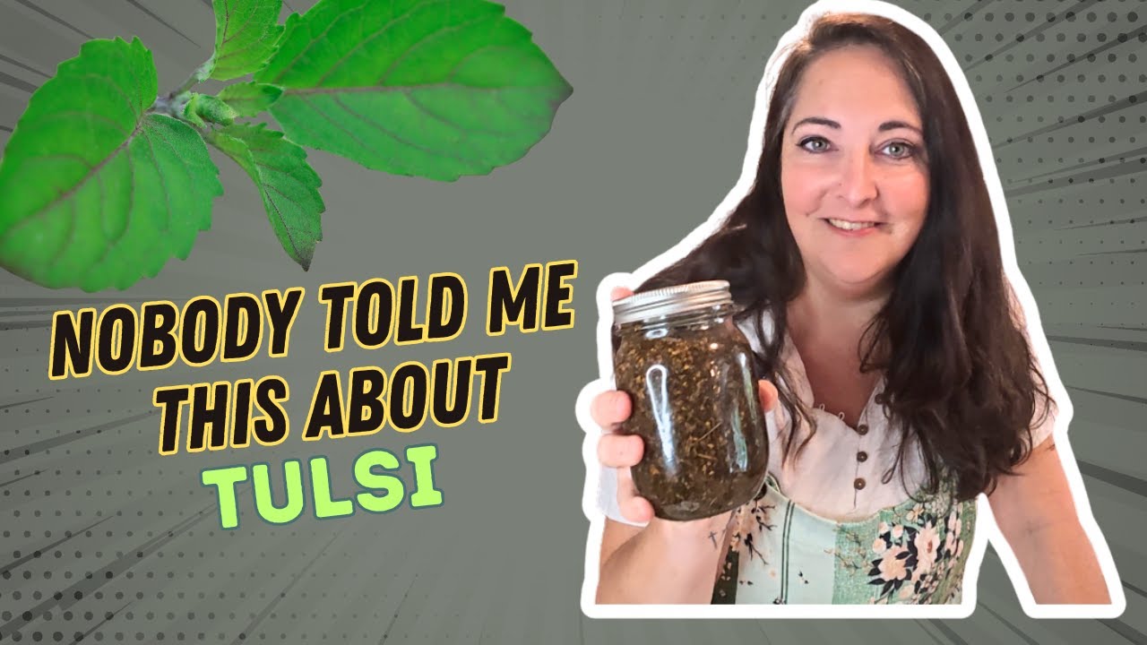 Tulsi (Holy Basil) Changed My Mind — And My Life