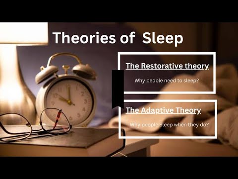 Theories of Sleep| The Adaptive Theory of Sleep| The Restorative Theory of Sleep| in Urdu\Hindi