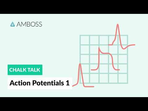 Action Potentials - Part 1: What is an Action Potential?