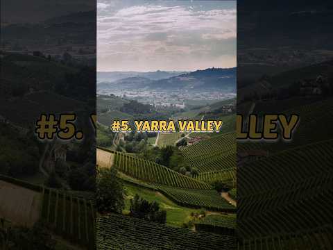 Top 5 best places to visit in Melbourne in 4k🔥 #melbourne #australia #EUREKA_TOWER#viral #yt_shorts