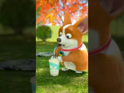 Flying MOCO 🐶 | The Straw Affair 吸管風波 | Flying MOCO Shorts 爆笑飛狗MOCO (2023)