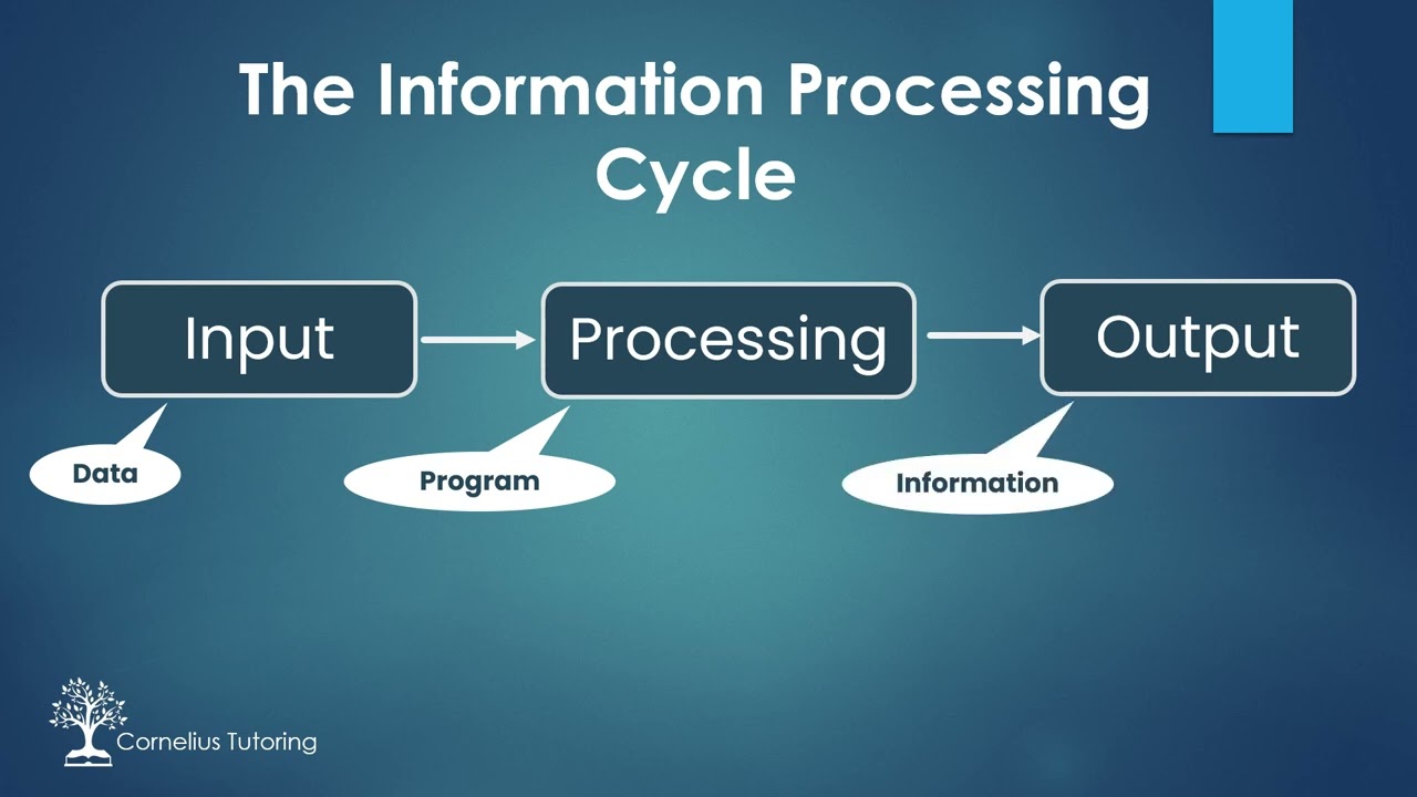 Information Processing Cycle CAT