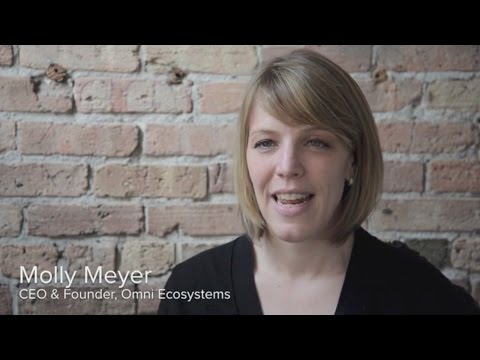 Beyond Extensive and Intensive: Defining the Comprehensive Green Roof by Molly Meyer