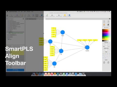 10 SmartPLS Align Toolbar
