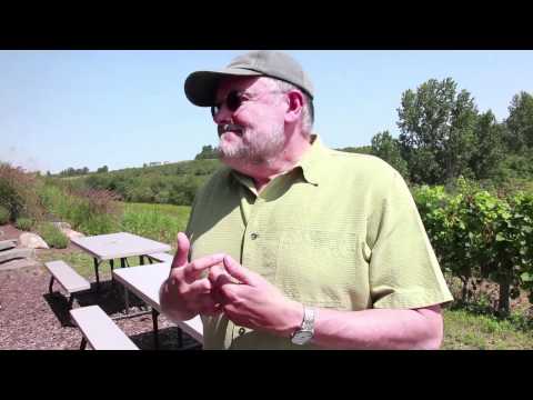 Larry Mawby of L. Mawby Wines on the Meaning of Wine / UW052