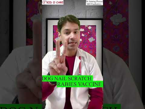 RABIES Vaccine in Dog Nail Scratch by Dr Anurag Prasad (Hindi) #shorts
