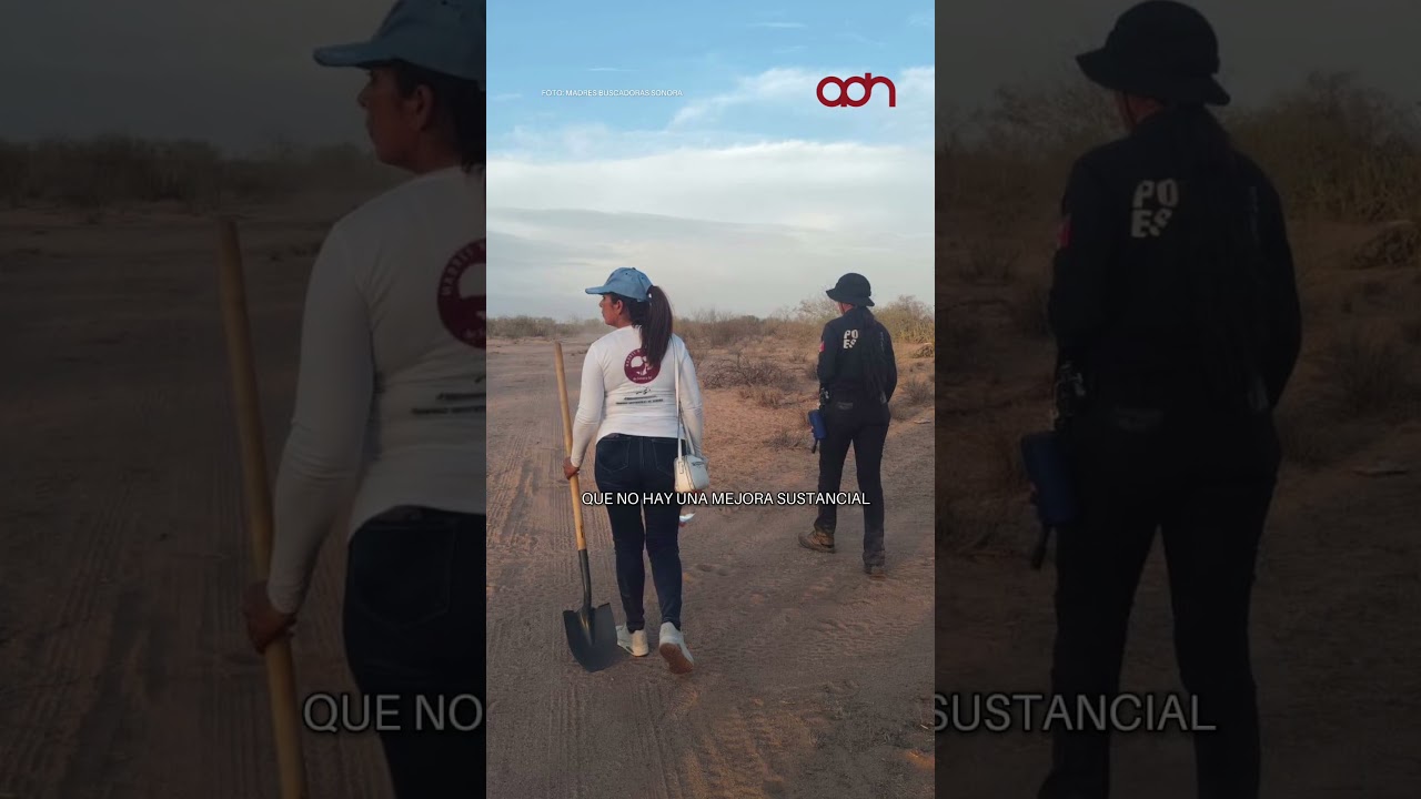 Mexico in crisis: Searcher murdered and the UN calls for urgent intervention