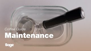 Sage The Barista Express™ Impress | Cleaning the portafilter and filter ...