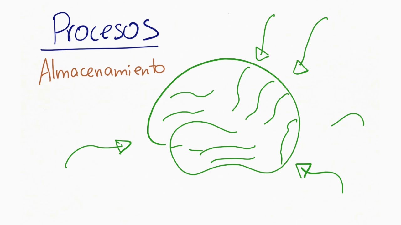 ¿Cómo funciona la memoria?