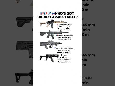 Tavor vs M4A1 vs HK416 vs AK-12 – Which is Best?