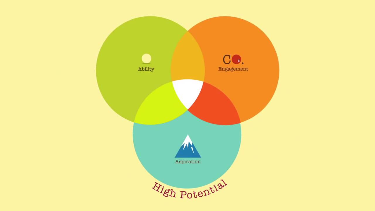 Identifying High Potentials (HiPo)