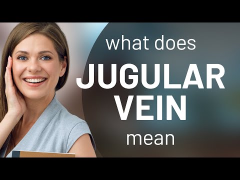 Jugular vein β meaning of JUGULAR VEIN