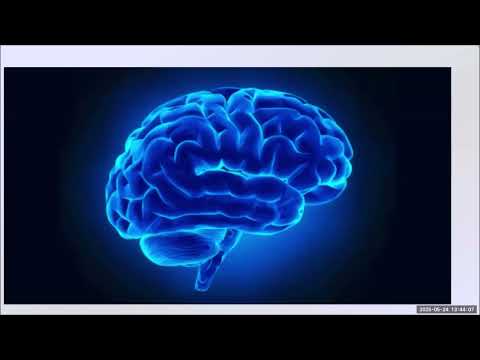 Brain Neurobiology