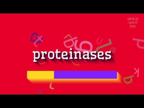 How to say "proteinases"! (High Quality Voices)