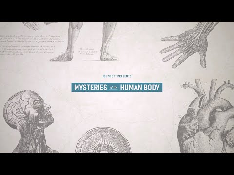 Nebula Original Series Mysteries Of The Human Body - Teaser