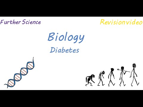 B3: Diabetes (Revision)