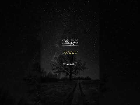 Surah ghafir❤️💞😍#shortfeed #quran #surah #shorts