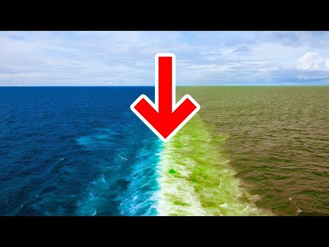 Warum vermischen sich ATLANTIK und PAZIFIK nicht