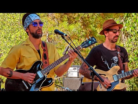 Grahame Lesh Revives Terrapin Roadshow for 2026 Tour