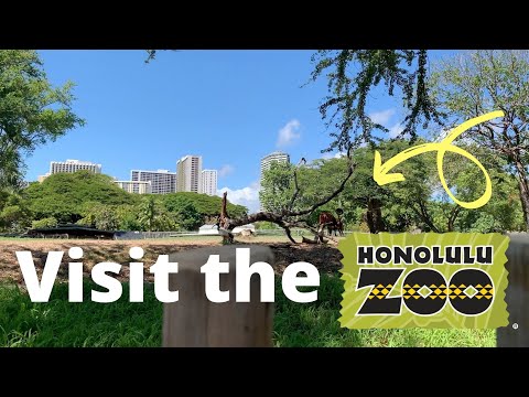 How to VISIT THE HONOLULU ZOO  | OAHU