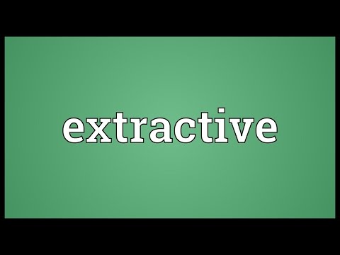 Extractive Meaning