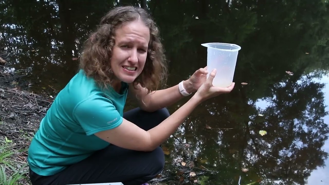 How to collect an eDNA sample.