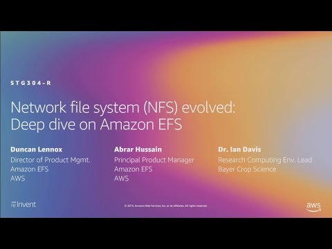 AWS re:Invent 2019: [REPEAT] Network file system (NFS) evolved: Deep dive on Amazon EFS (STG304-R)