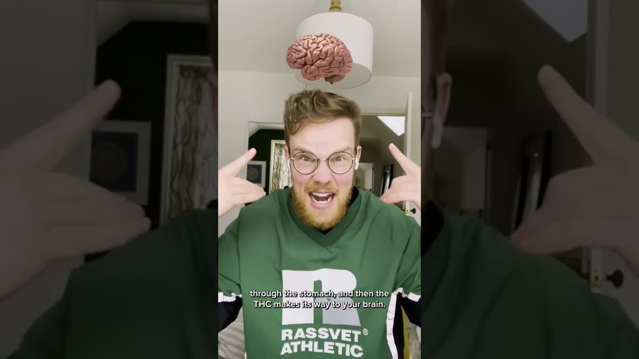 Why Marijuana Gives You The Munchies! #shorts