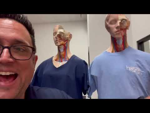 Medical Terminology: Episode One