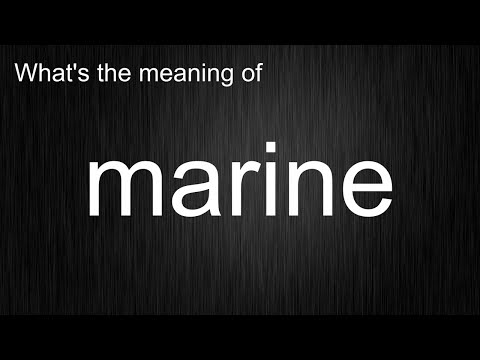 No More Confusion! Explaining "marine" Meaning, Teaching You Standard British Pronunciation!