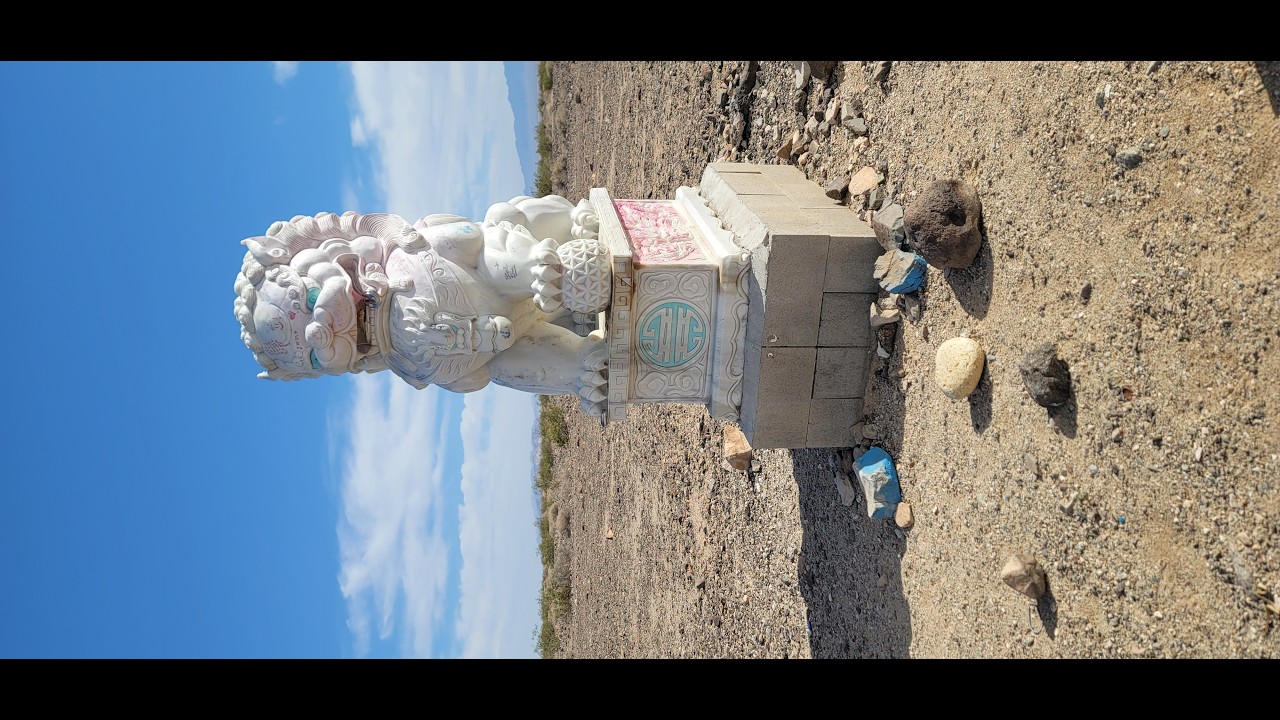 Amboy Guardian Lions #california #amboy #route66