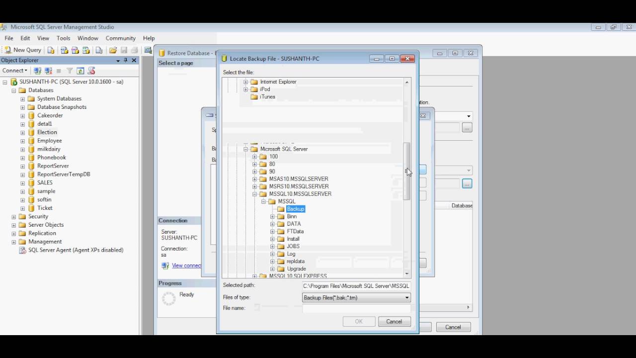 Restore database to SQL Server