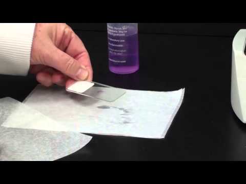 Microscope Slides - Microscope Glass Slides Latest Price, Manufacturers ...