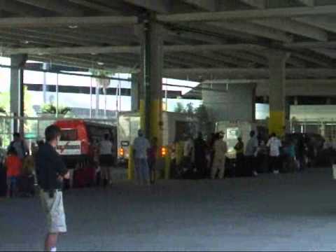 Tampa Cruise port Transportation