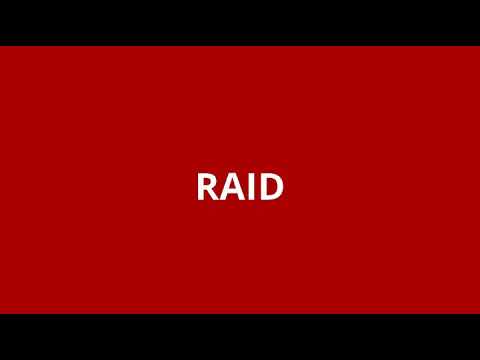 what is the meaning of RAID