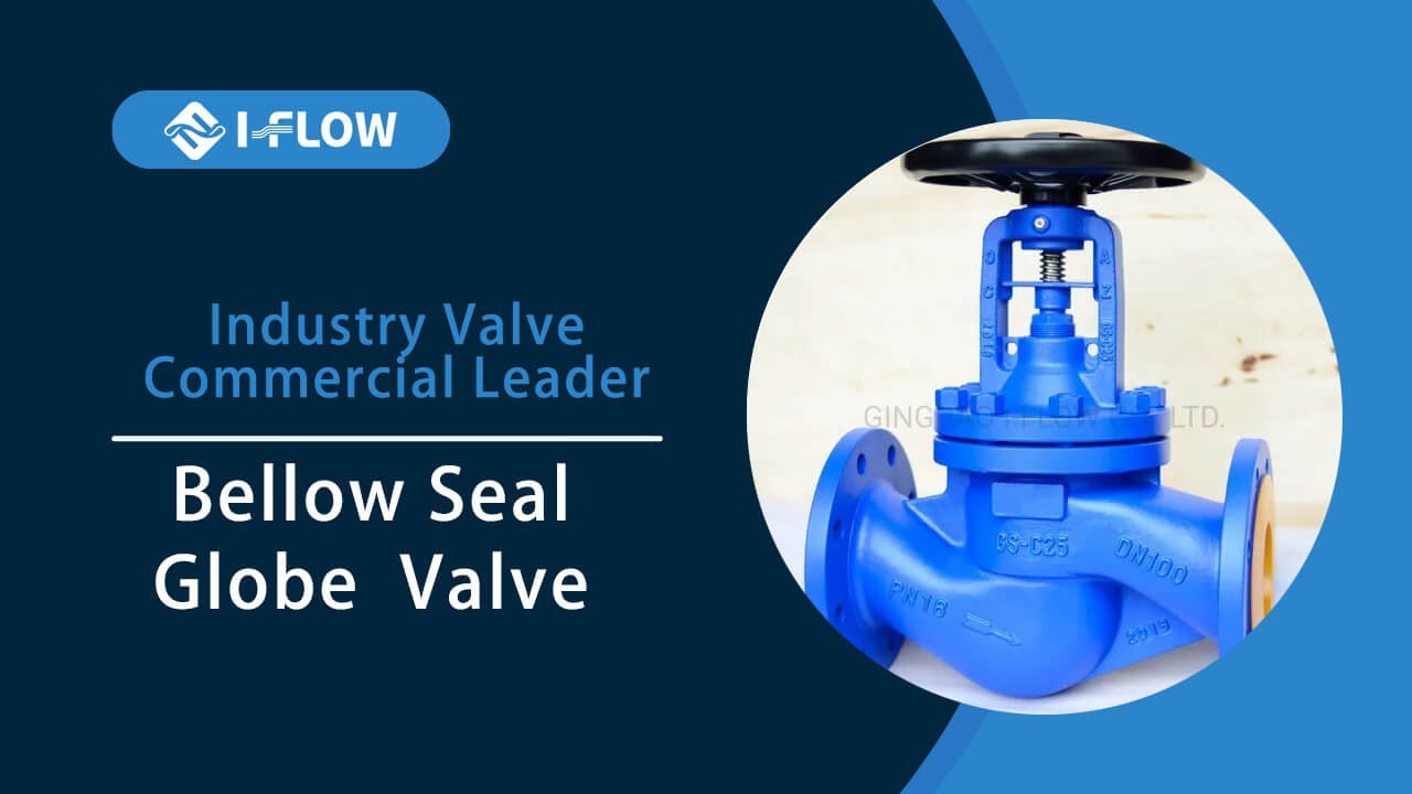 I-FLOW Globe Valve & All Valves EXPLAINED