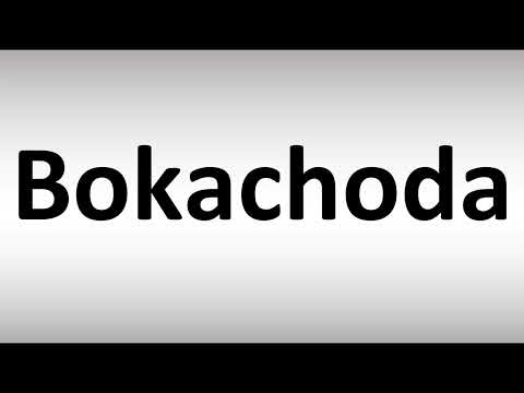 How to Pronounce Bokachoda
