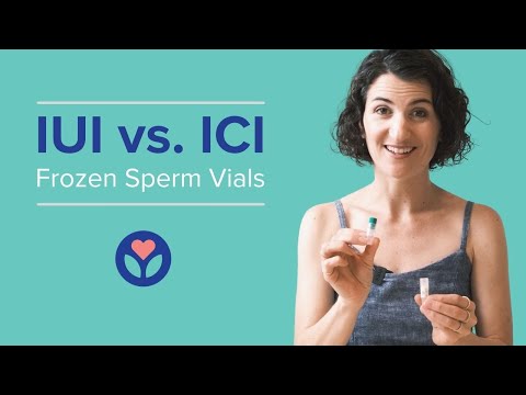 IUI vs. ICI Frozen Sperm Vials: What Should You Order?