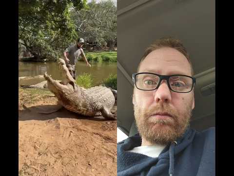 Watch Out Behind! Willys Croc Video of the Day! Wild Animal Encounters! #alligator #Zoo #pet #park