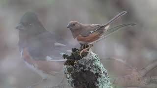 3 Best Hiking Trails in Manchester, NH - Expert Recommendations