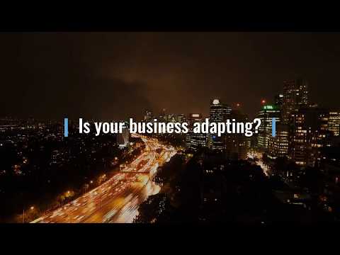 Blue Panda Communications - Empowering Positive Human Communication