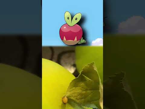WTF is Applin?| EVERY Pokémon Design Explained #pokemon #pokemoncards #shorts