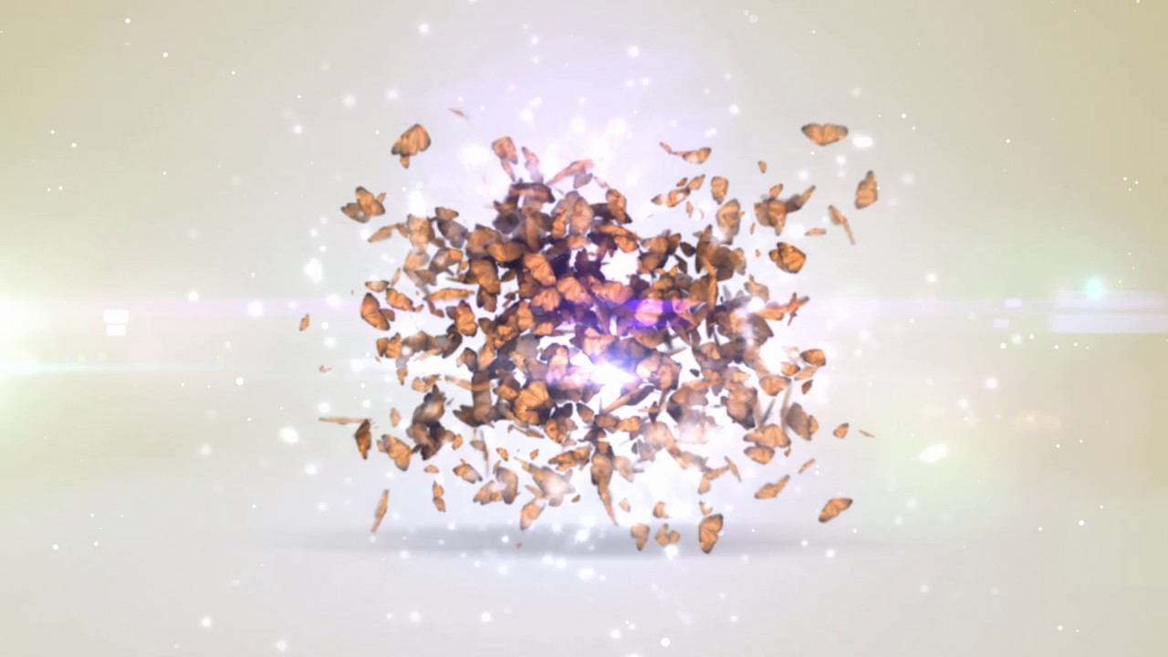 449 v4 - Butterfly crystal diamond logo reveal intro animation color yellow orange