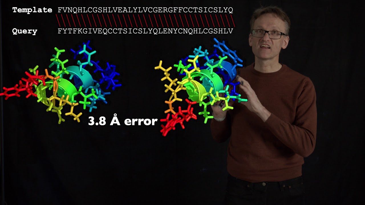 Lecture 11, concept 23: Homology modeling depends on good alignments and databases - use web servers