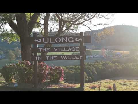 78 Pine Avenue, Ulong NSW 2450 | Domain