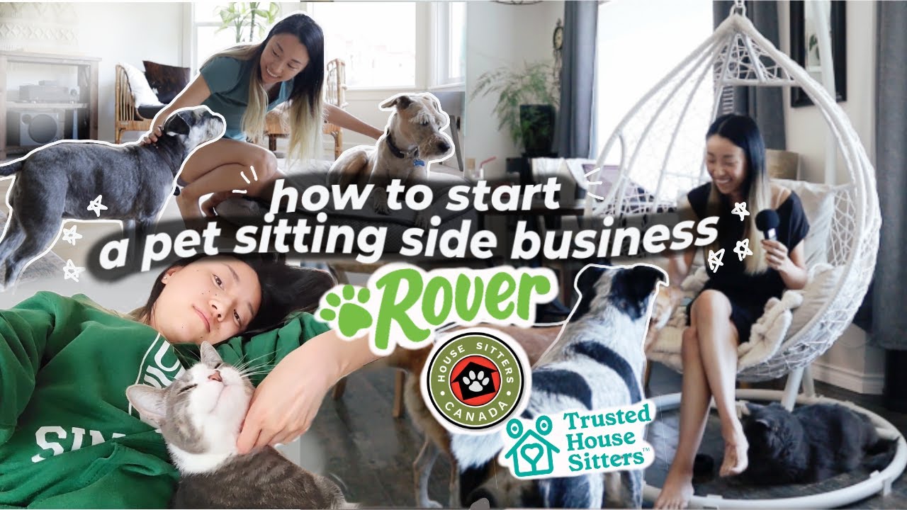 How to Start a Pet Sitting Side Hustle in 2026 (Ultimate Step-By-Step Guide for Beginners)