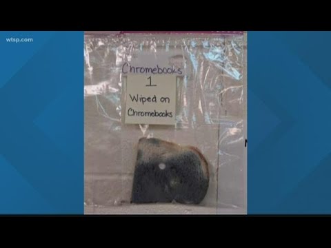 Teacher's moldy bread experiment shows importance of washing hands