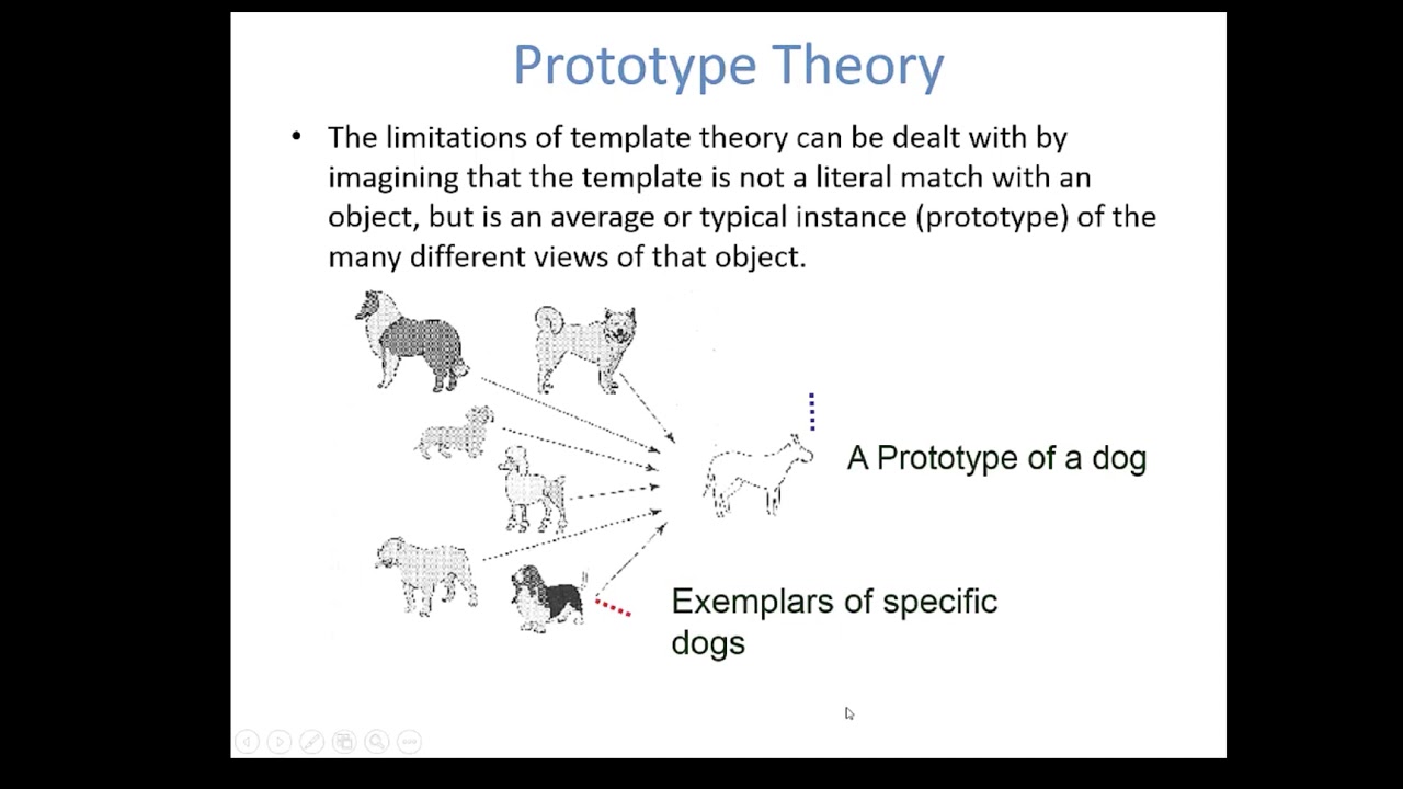 CognitionChapter4Part5Prototype