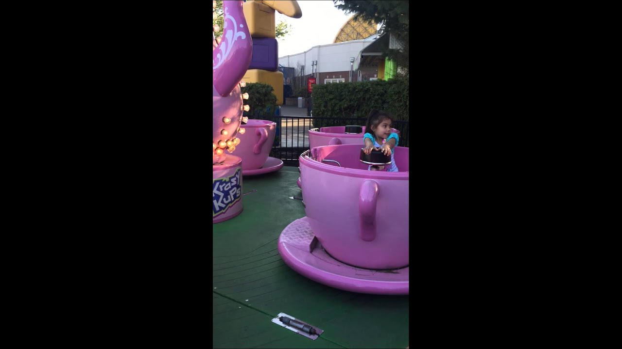 Crazy cups 2015